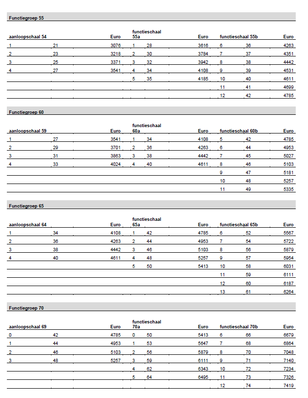 Salarisschalen GGZ 2024 - FNV